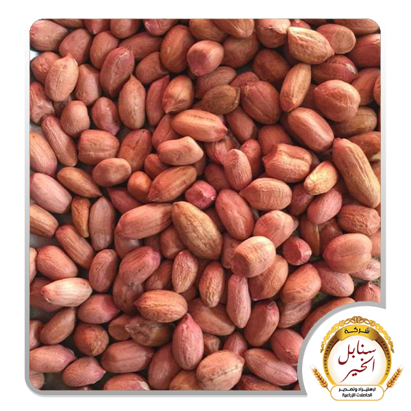 سوداني احمر مقشور - شركة سنابل الخير لاستيراد وتصدير الحاصيلات الزراعية